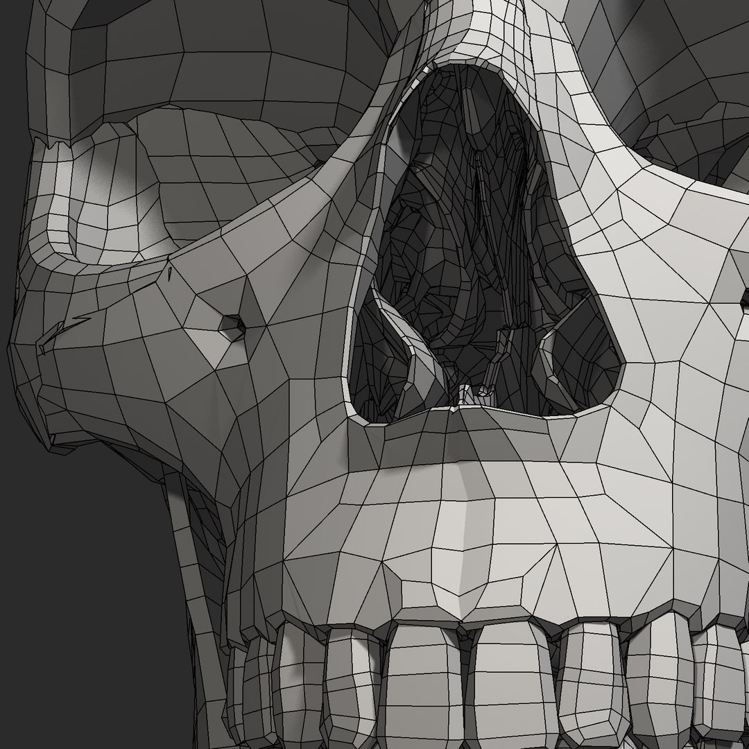 Skull bones 3D model - TurboSquid 1307505