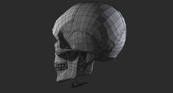 Skull bones 3D model - TurboSquid 1307505