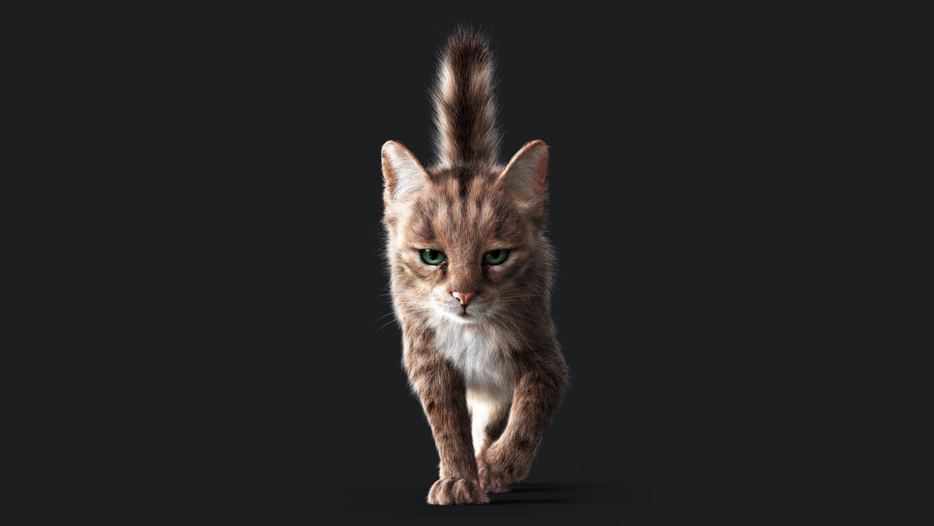 3D Cat Grey Tabby ANIMATED - YETI Version Model - TurboSquid 2112810