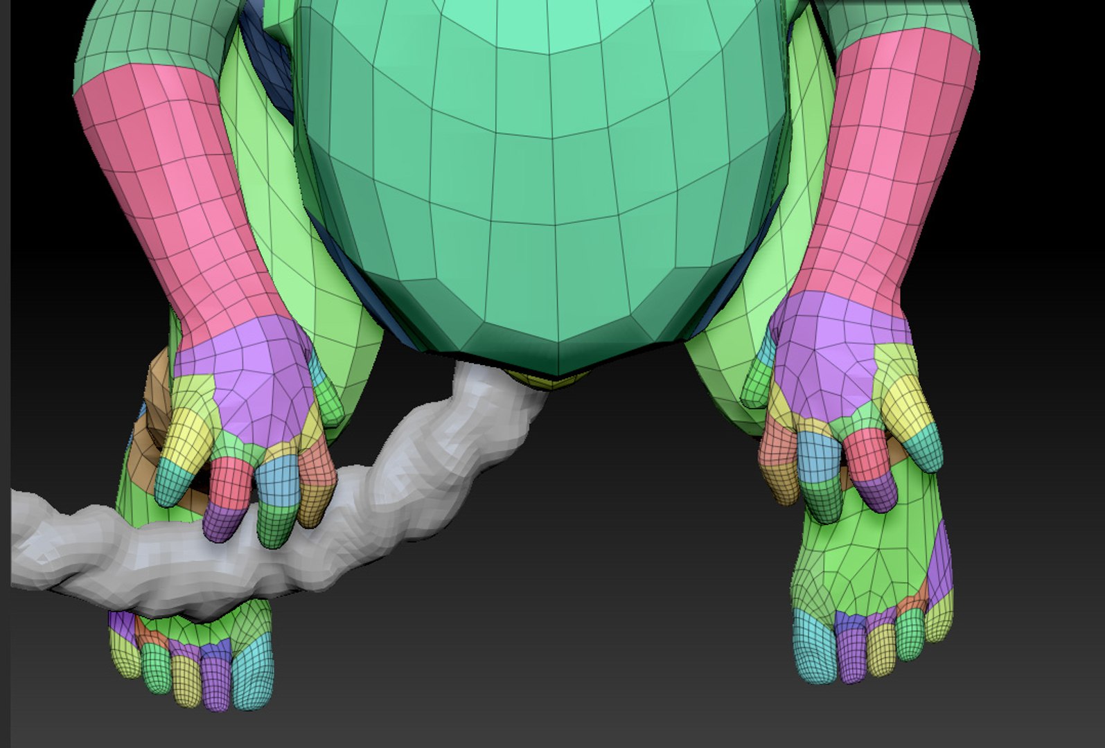 Human Fetus 3d Model