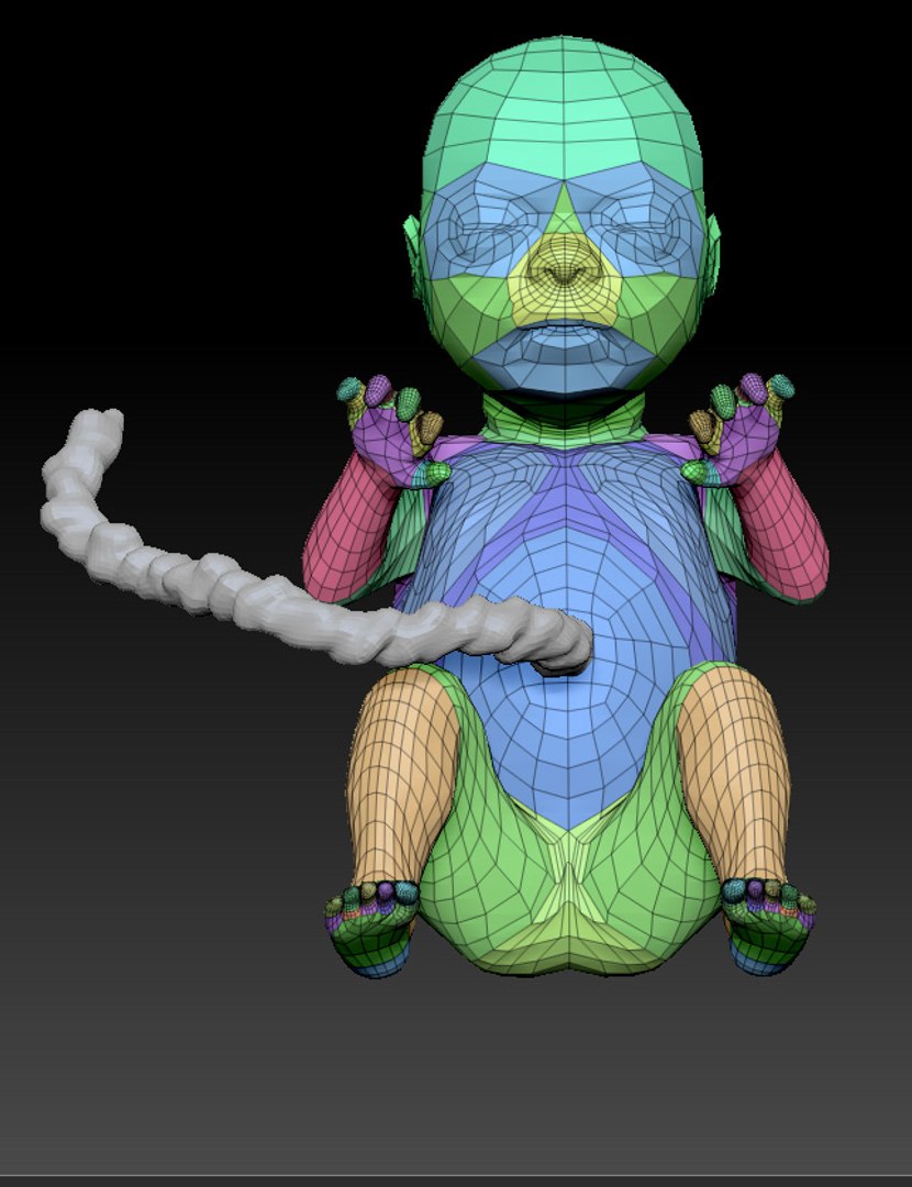 Human Fetus 3d Model