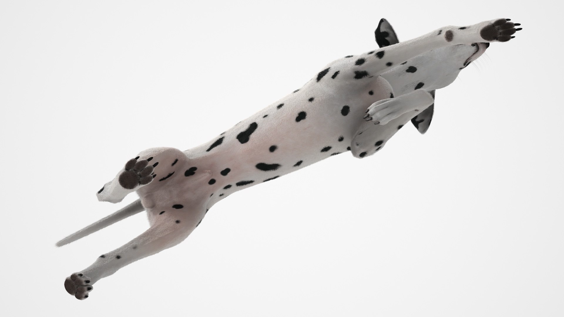 3D Running Dalmatian Dog Fur - TurboSquid 2234670