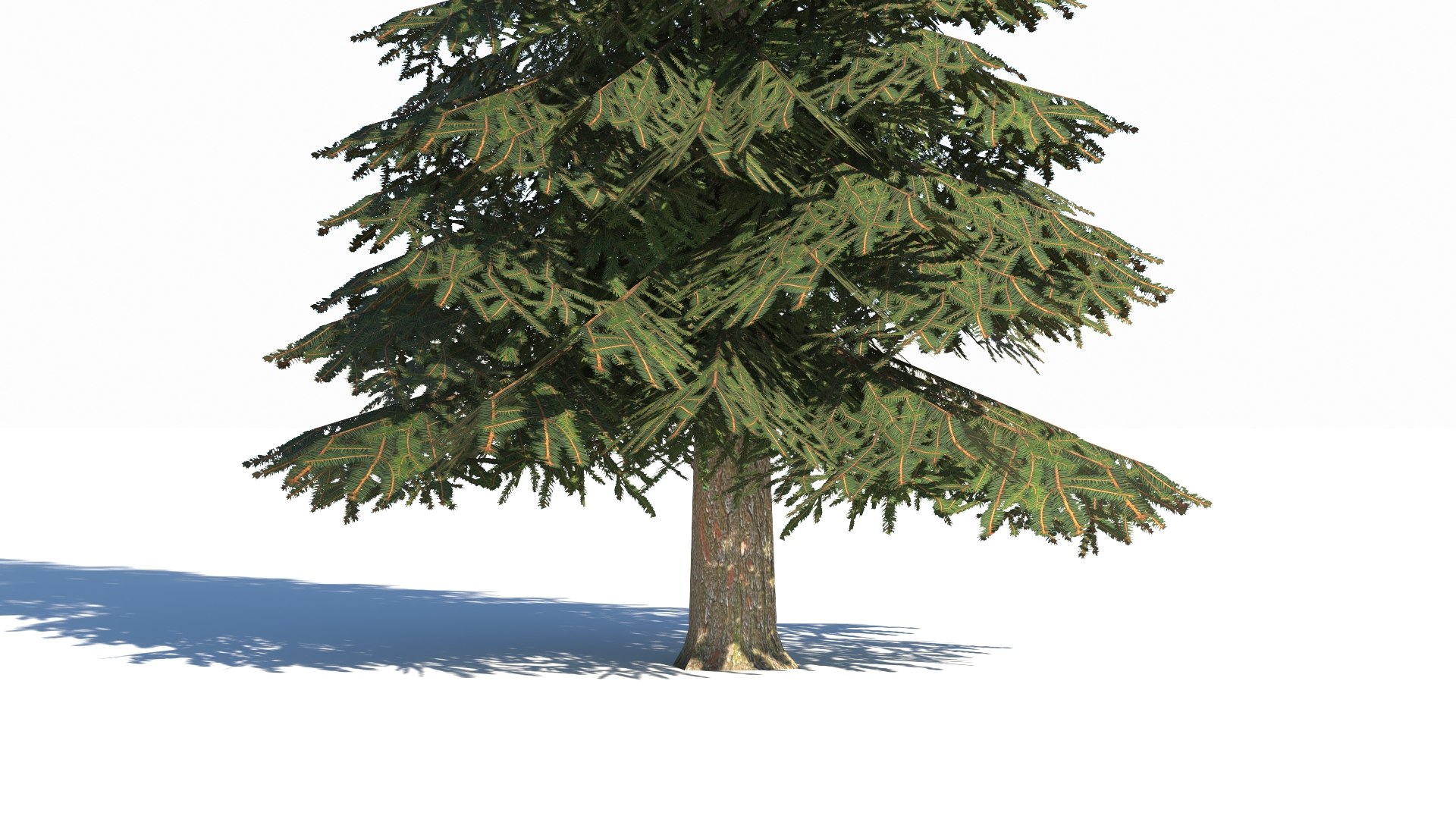Spruce V1 Lowpoly 3D Model - TurboSquid 2319106