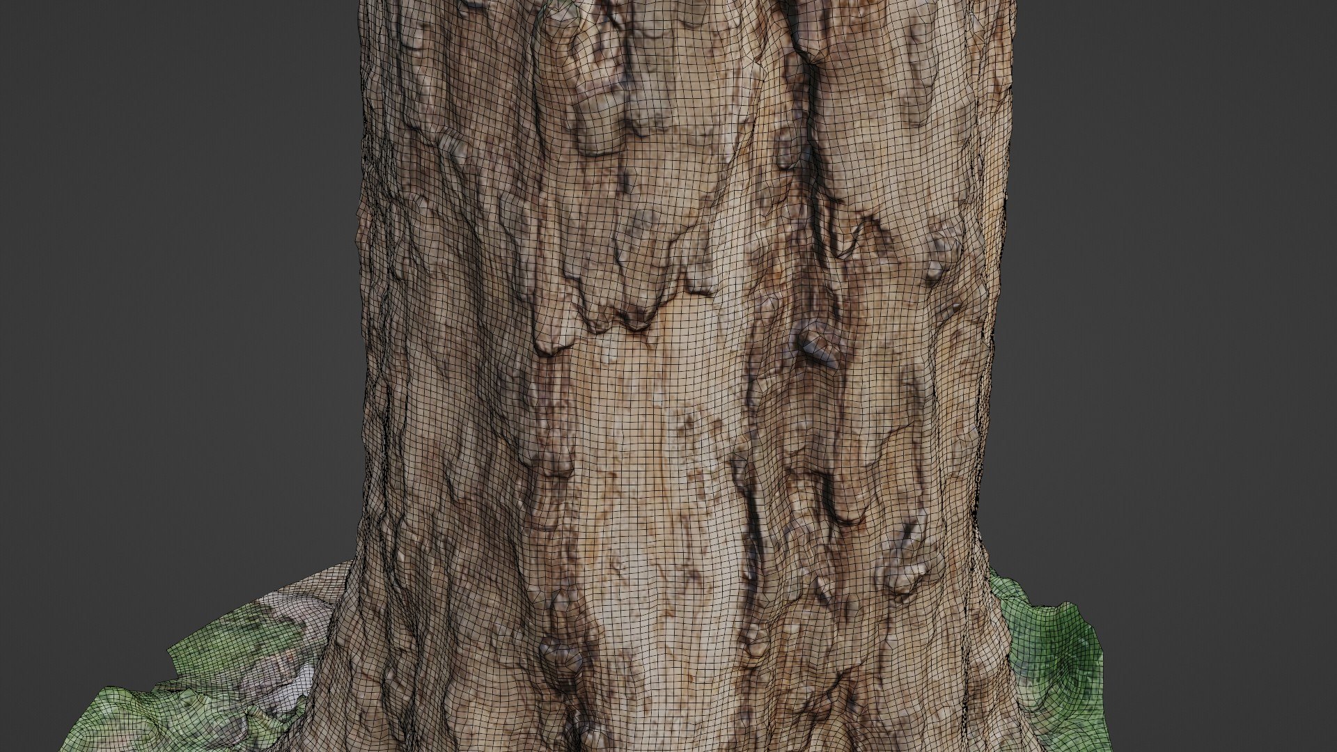 3D Scan Tree - TurboSquid 2329671