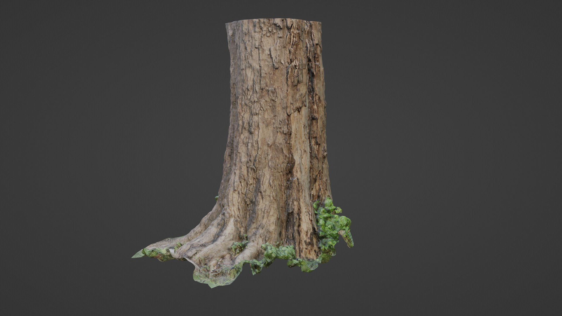 3D Scan Tree - TurboSquid 2329671