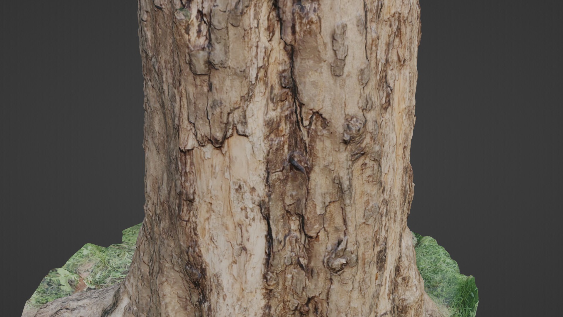 3D Scan Tree - TurboSquid 2329671