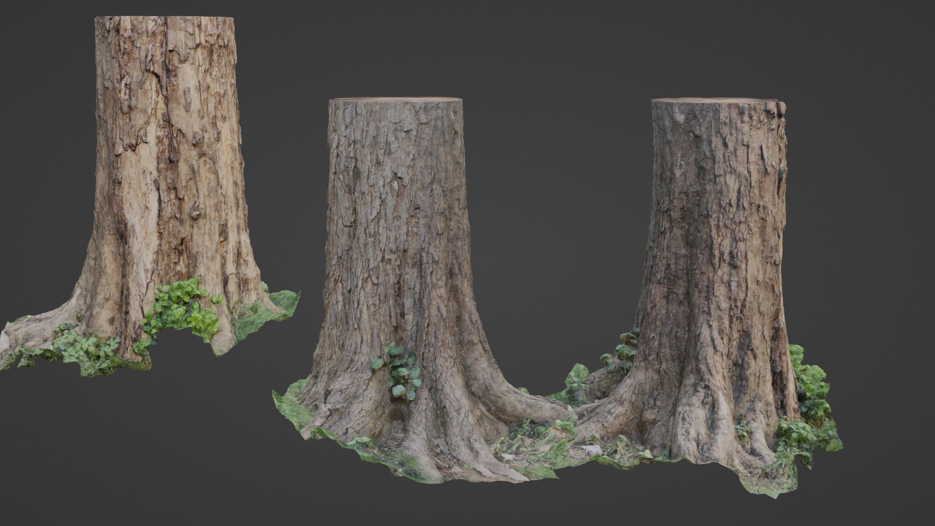 3D Scan Tree - TurboSquid 2329671
