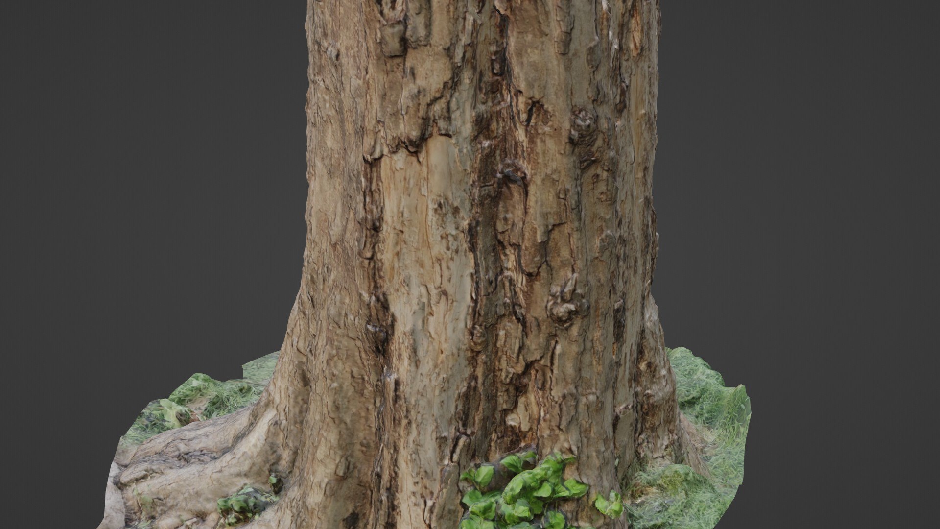3D Scan Tree - TurboSquid 2329671