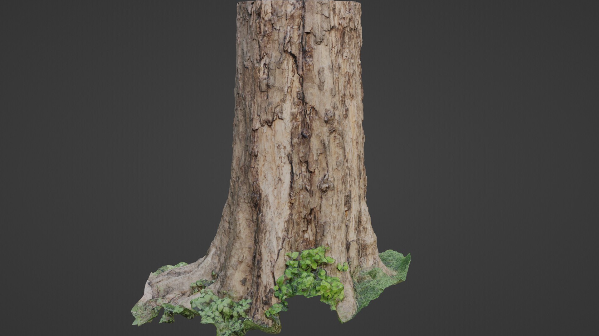 3D Scan Tree - TurboSquid 2329671