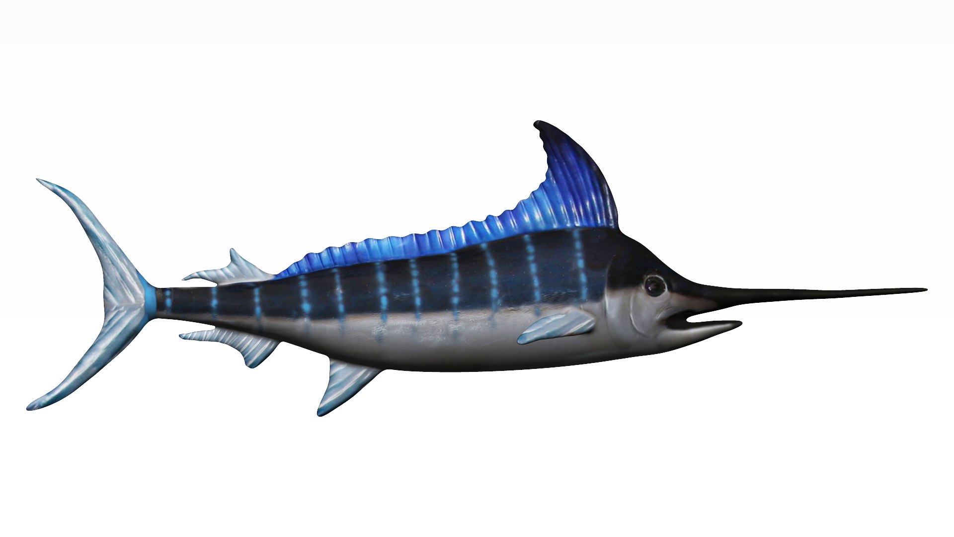 3D Fully Rigged Low Poly Swordfish - TurboSquid 1748773