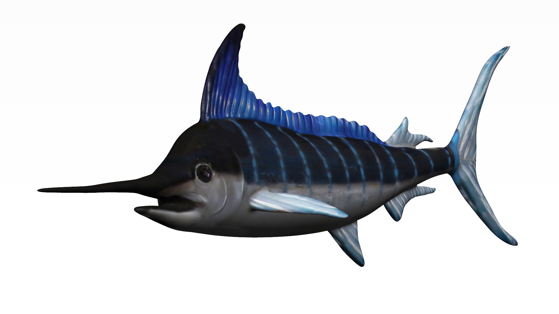 3D Fully Rigged Low Poly Swordfish - TurboSquid 1748773