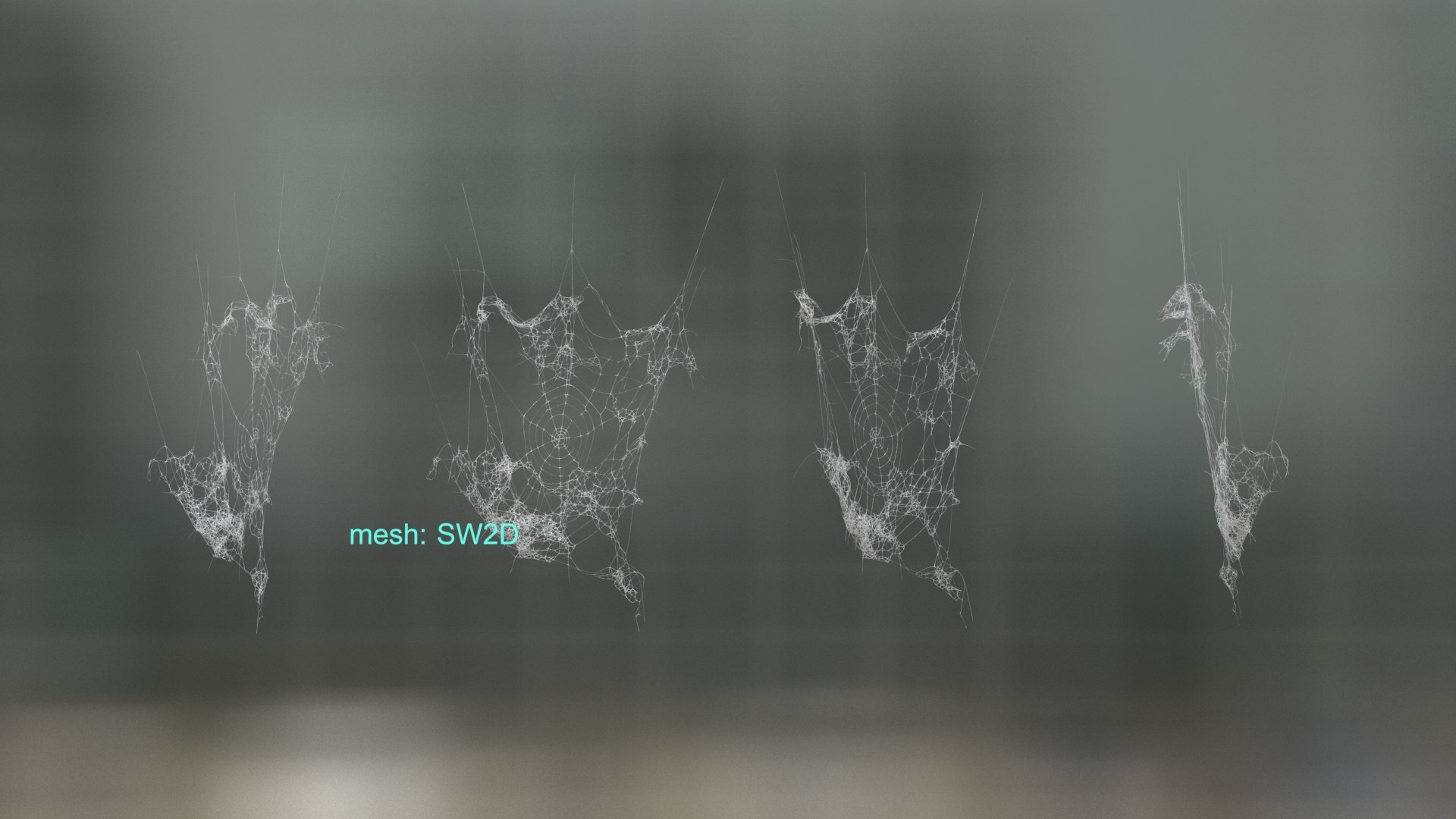 3D spider web spiderweb - TurboSquid 1703115