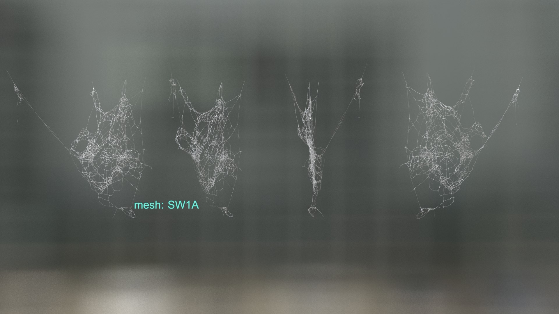 3D Spider Web Spiderweb Model - TurboSquid 1702698