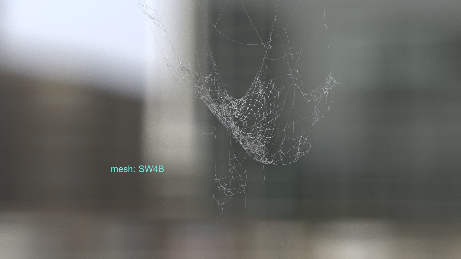 Spider web spiderweb 3D - TurboSquid 1703114