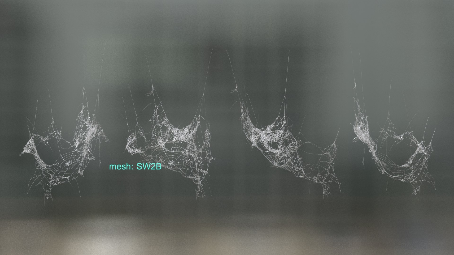 3D Spider Web Spiderweb - TurboSquid 1703115