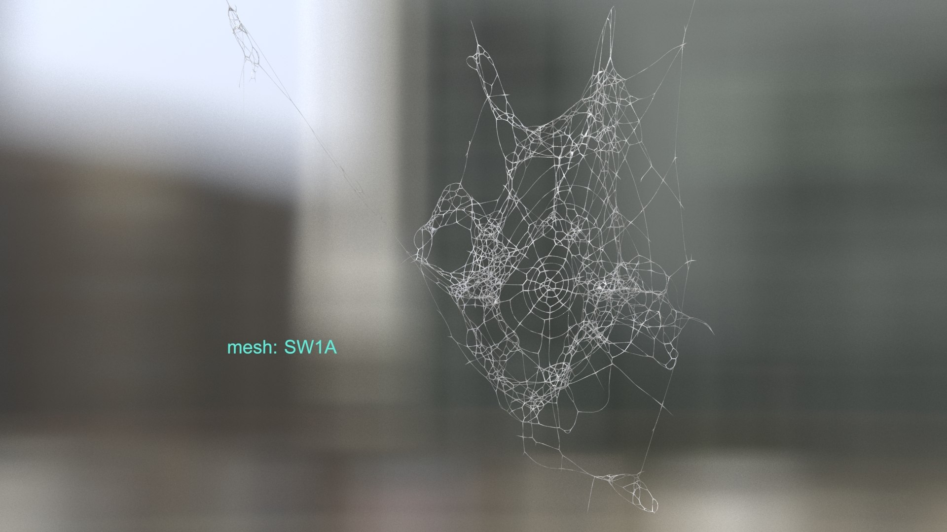 3D Spider Web Spiderweb Model - TurboSquid 1702698