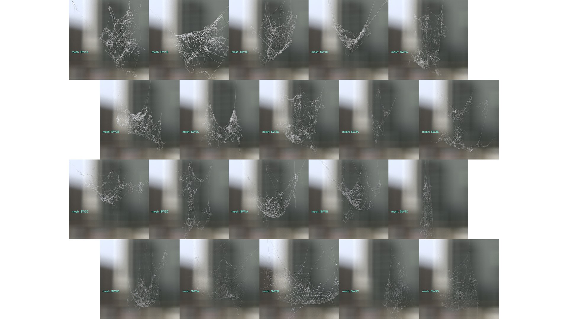 Spider Web Spiderweb 3D Model - TurboSquid 1702659