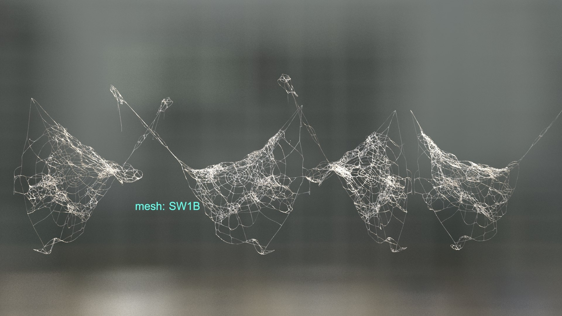 3D Spider Web Spiderweb - TurboSquid 1702672