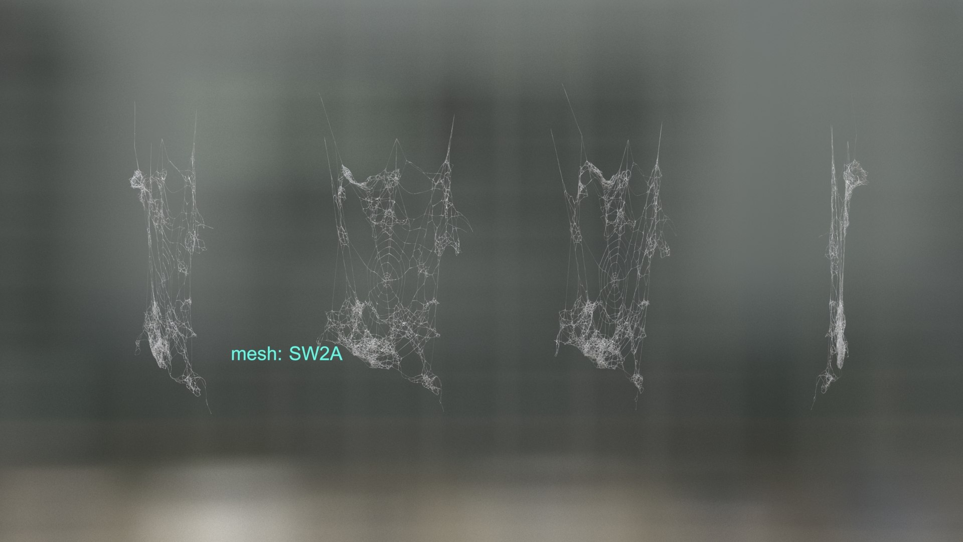 3D Spider Web Spiderweb - TurboSquid 1703115