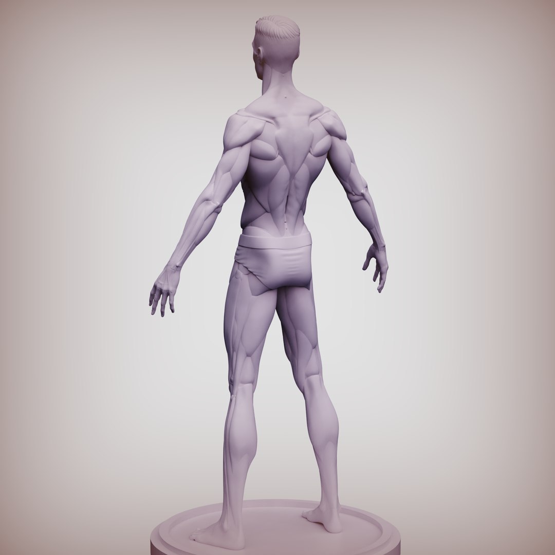 3D Man Anatomy Constructor Transhumanist - TurboSquid 2210095