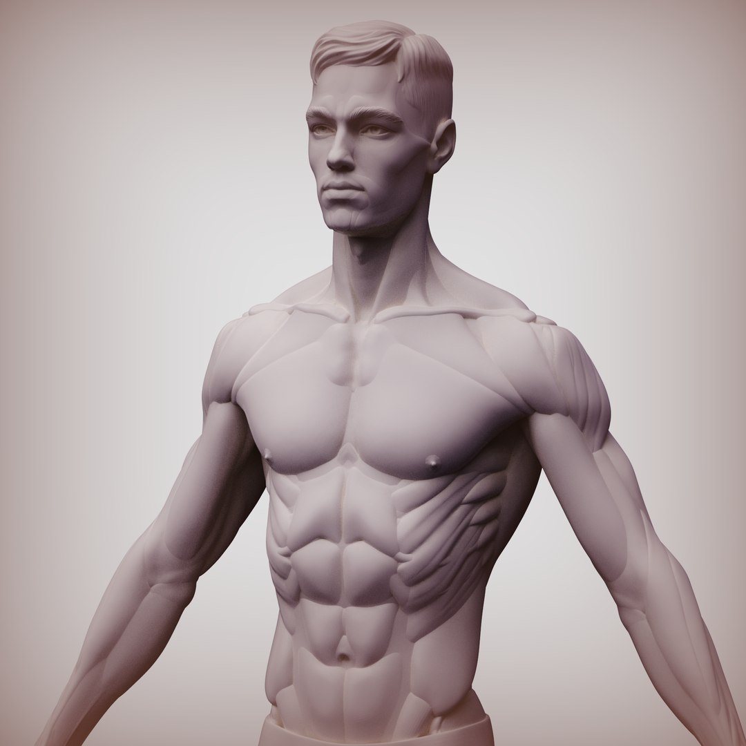 3D Man Anatomy Constructor Transhumanist - TurboSquid 2210095