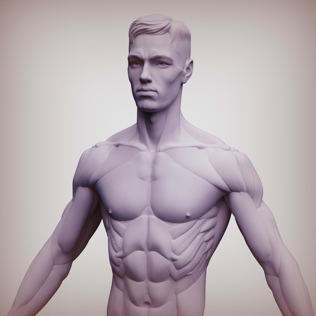 3D Man Anatomy Constructor Transhumanist - TurboSquid 2210095
