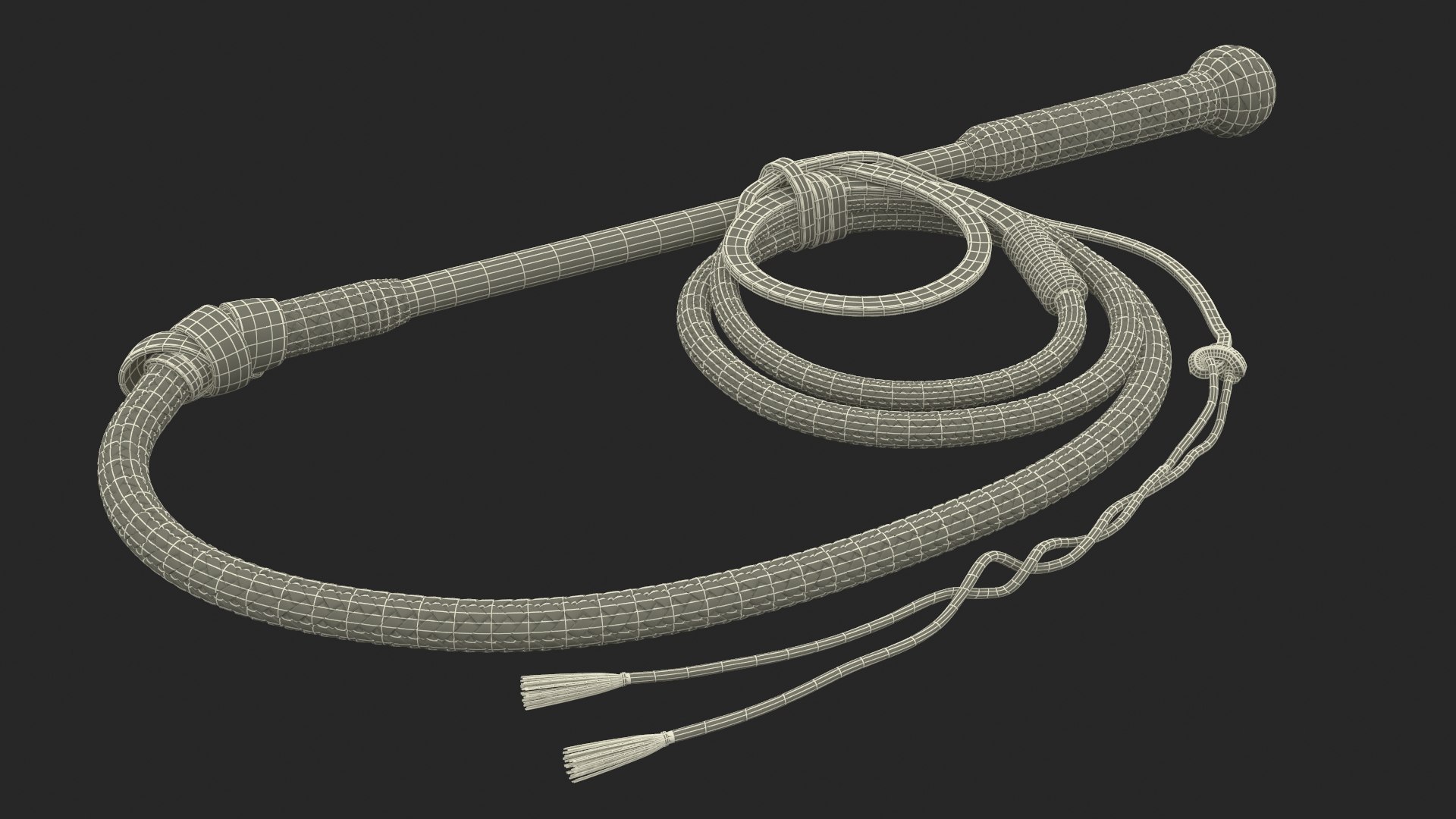 3D Leather Bullwhip Coiled Black Rigged For Cinema 4D - TurboSquid 2264413