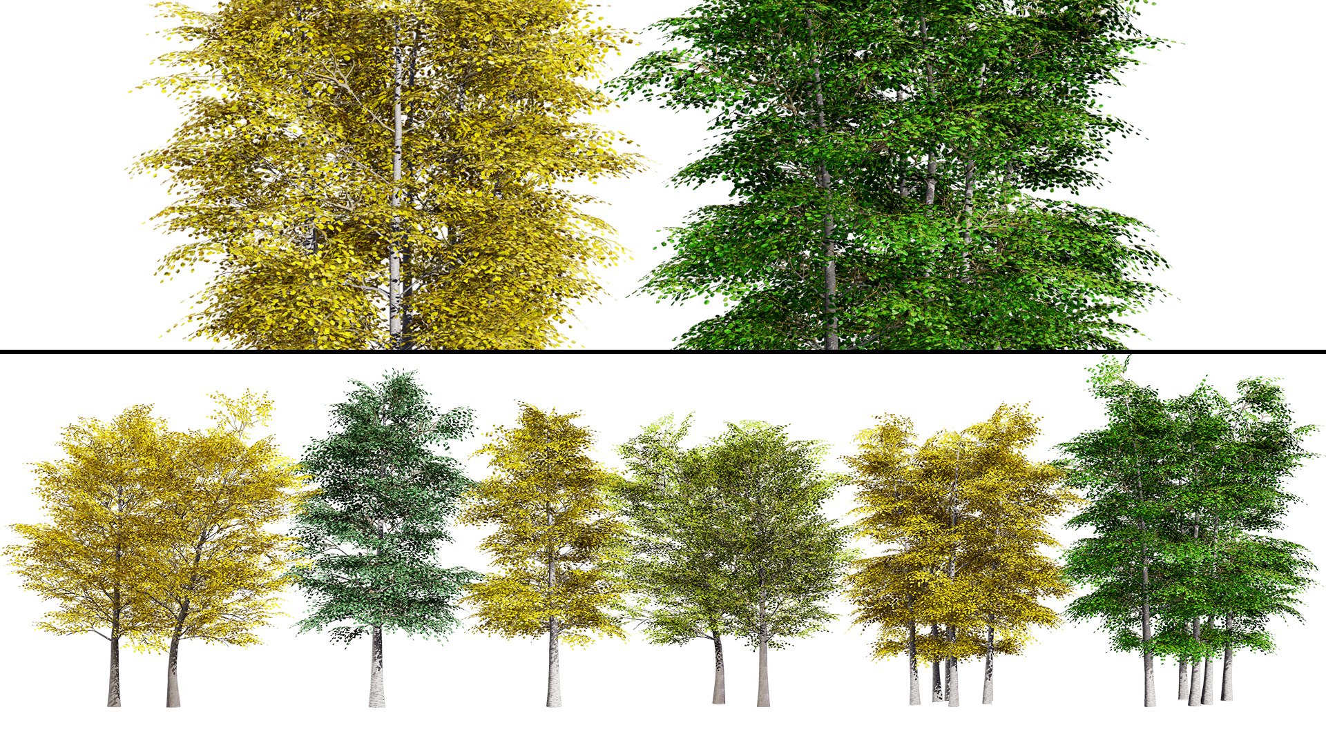3D Aspen Trees 3D Model Model - TurboSquid 2322556