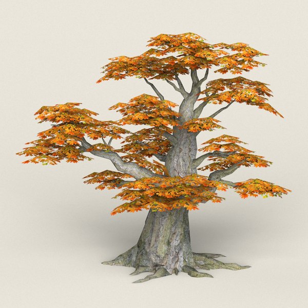 Deciduous Tree 3D Models for Download | TurboSquid