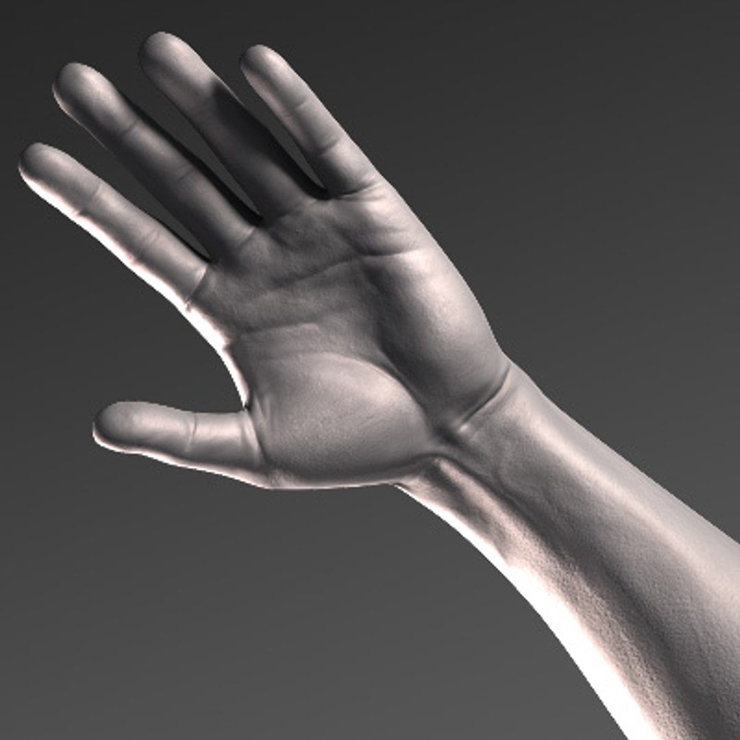 Obj Realistic Male Hand Max8