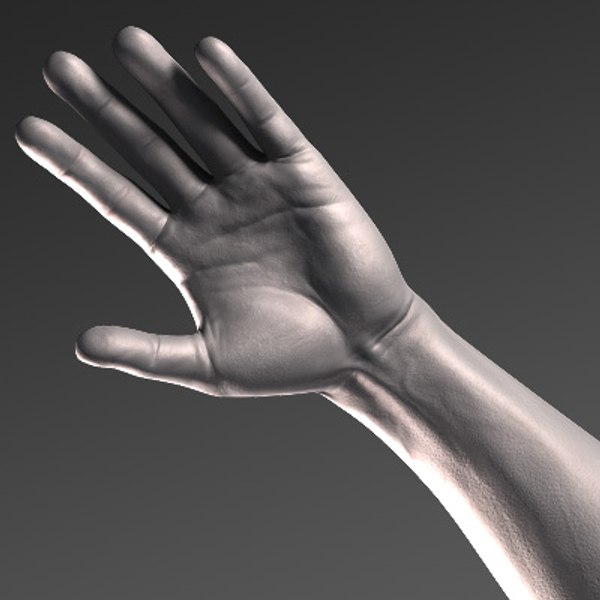 obj realistic male hand max8