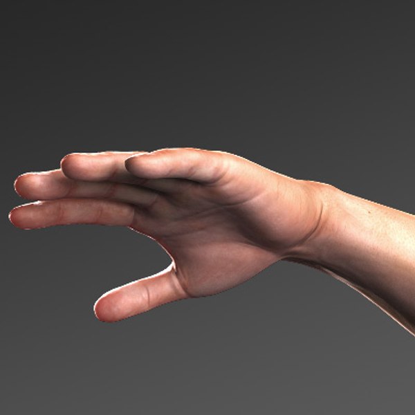 obj realistic male hand max8