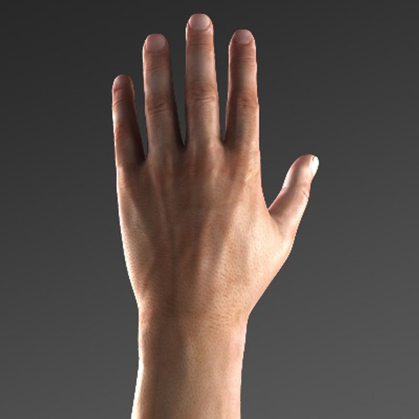 obj realistic male hand max8