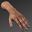 Obj Realistic Male Hand Max8