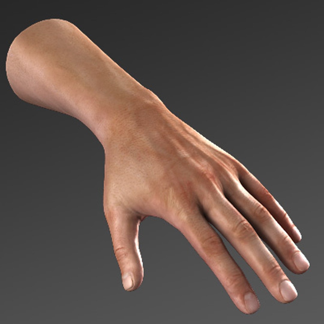 Obj Realistic Male Hand Max8