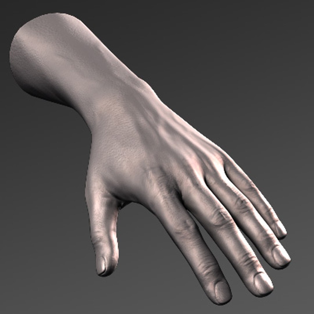 Obj Realistic Male Hand Max8