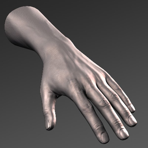 obj realistic male hand max8