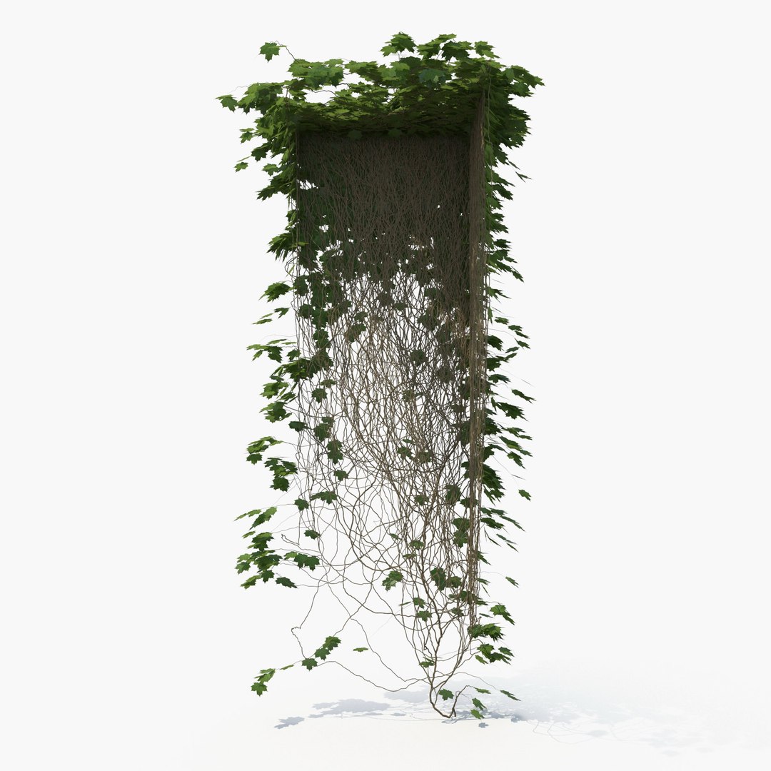 3D Realistic Ivy Model | 1148270 | TurboSquid