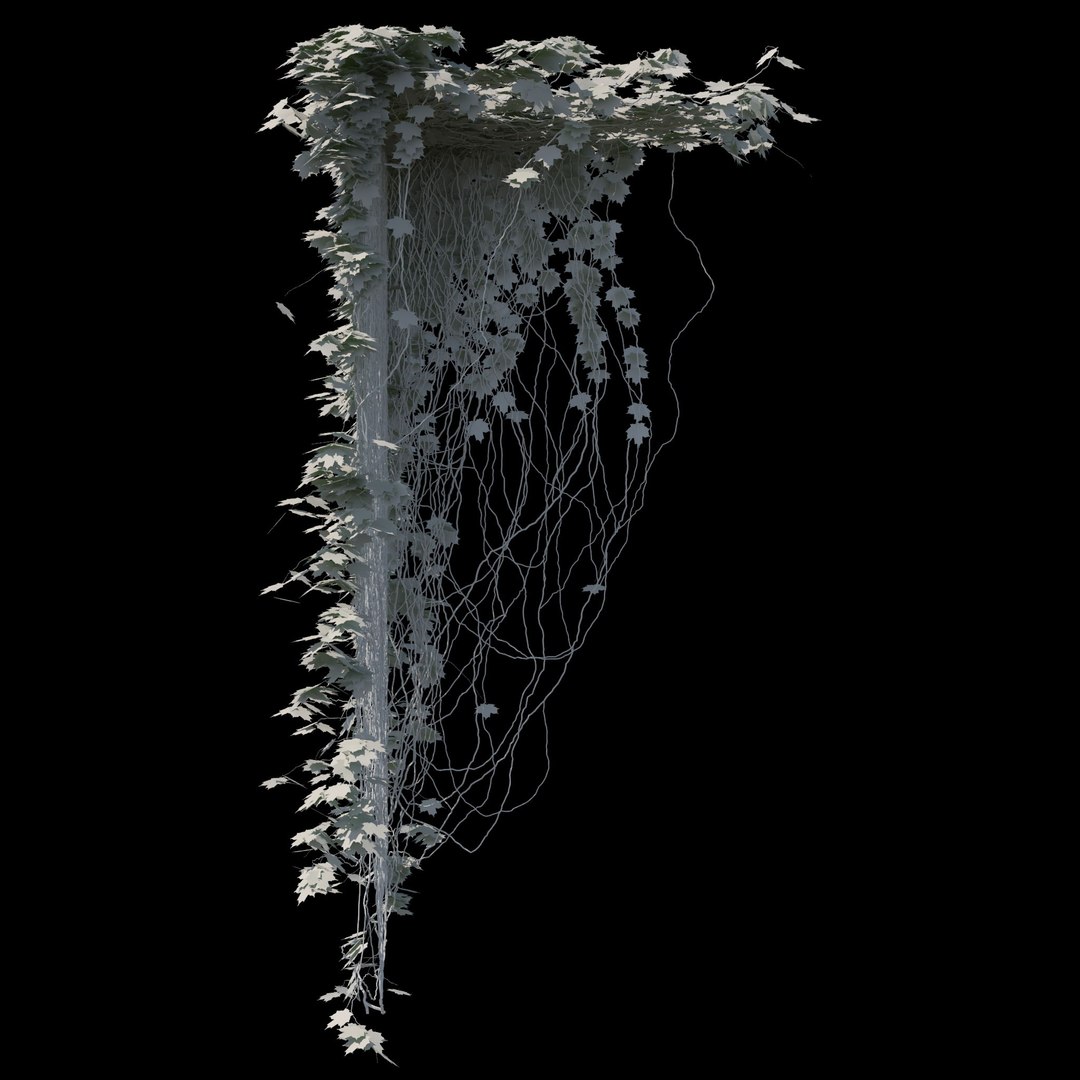 3D Realistic Ivy Model | 1148270 | TurboSquid