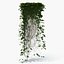 3D Realistic Ivy Model | 1148270 | TurboSquid