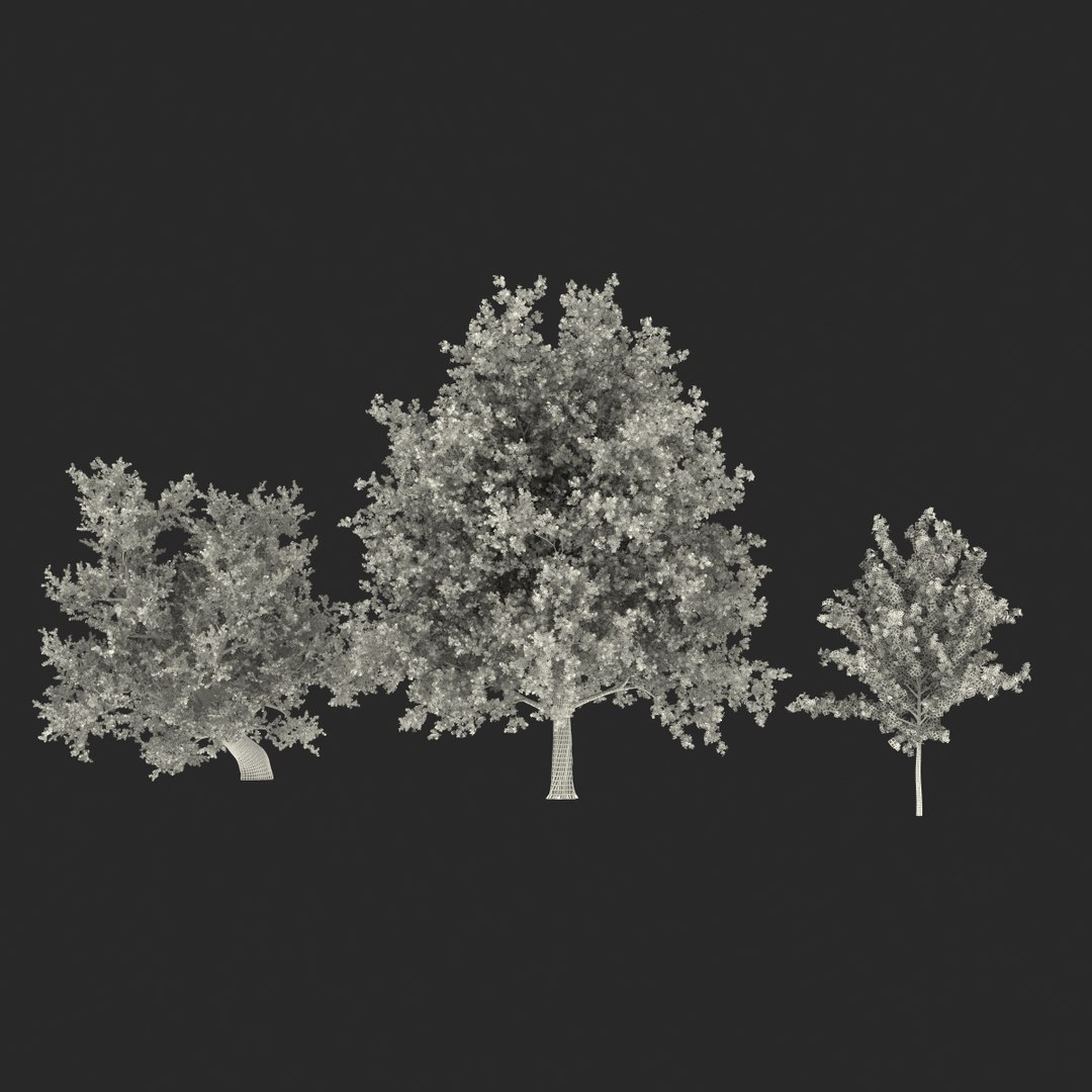 3d model summer red maple trees