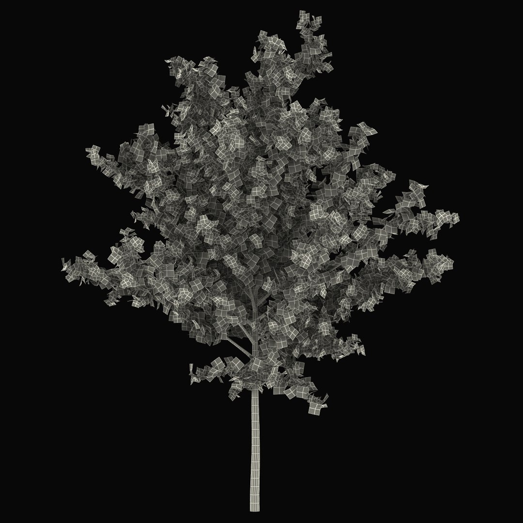 3d model summer red maple trees