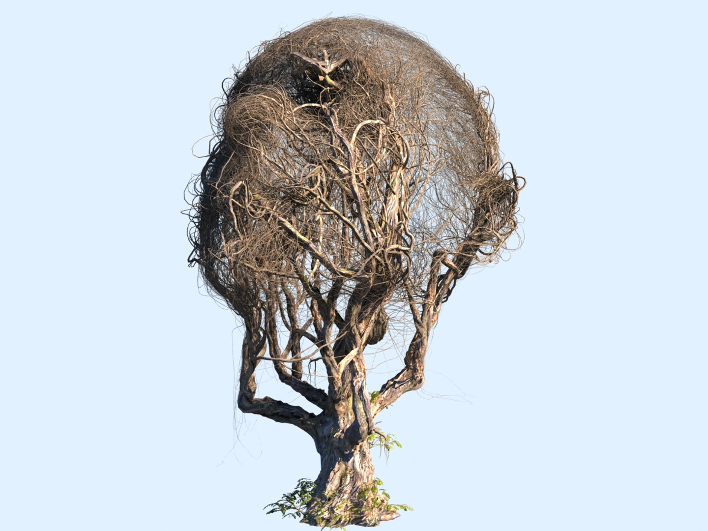 Tree Head Pack 10 3D Model - TurboSquid 1287368