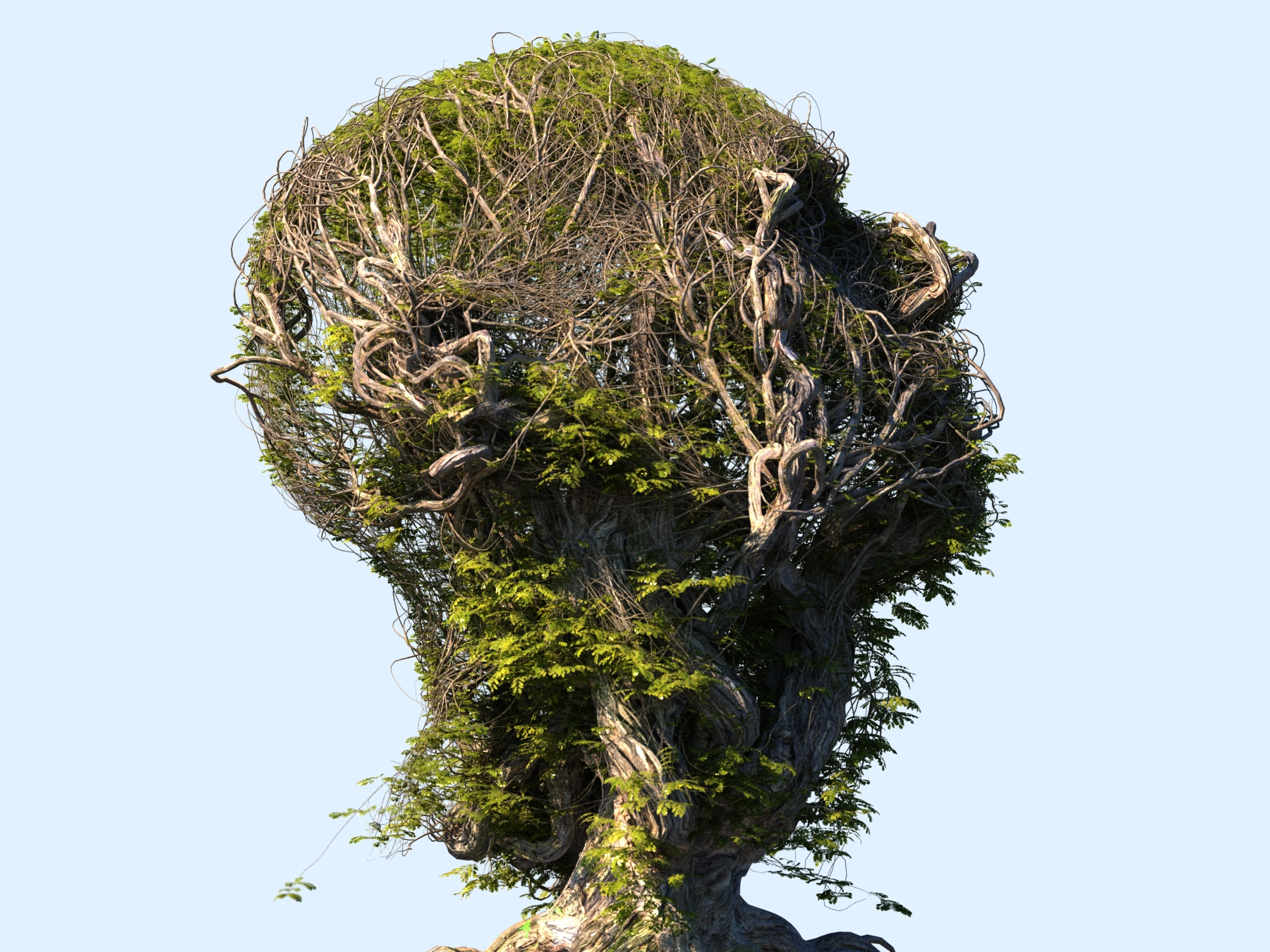 Tree head pack 10 3D model - TurboSquid 1287368