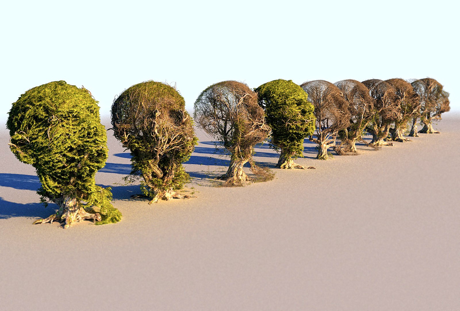 Tree Head Pack 10 3D Model - TurboSquid 1287368