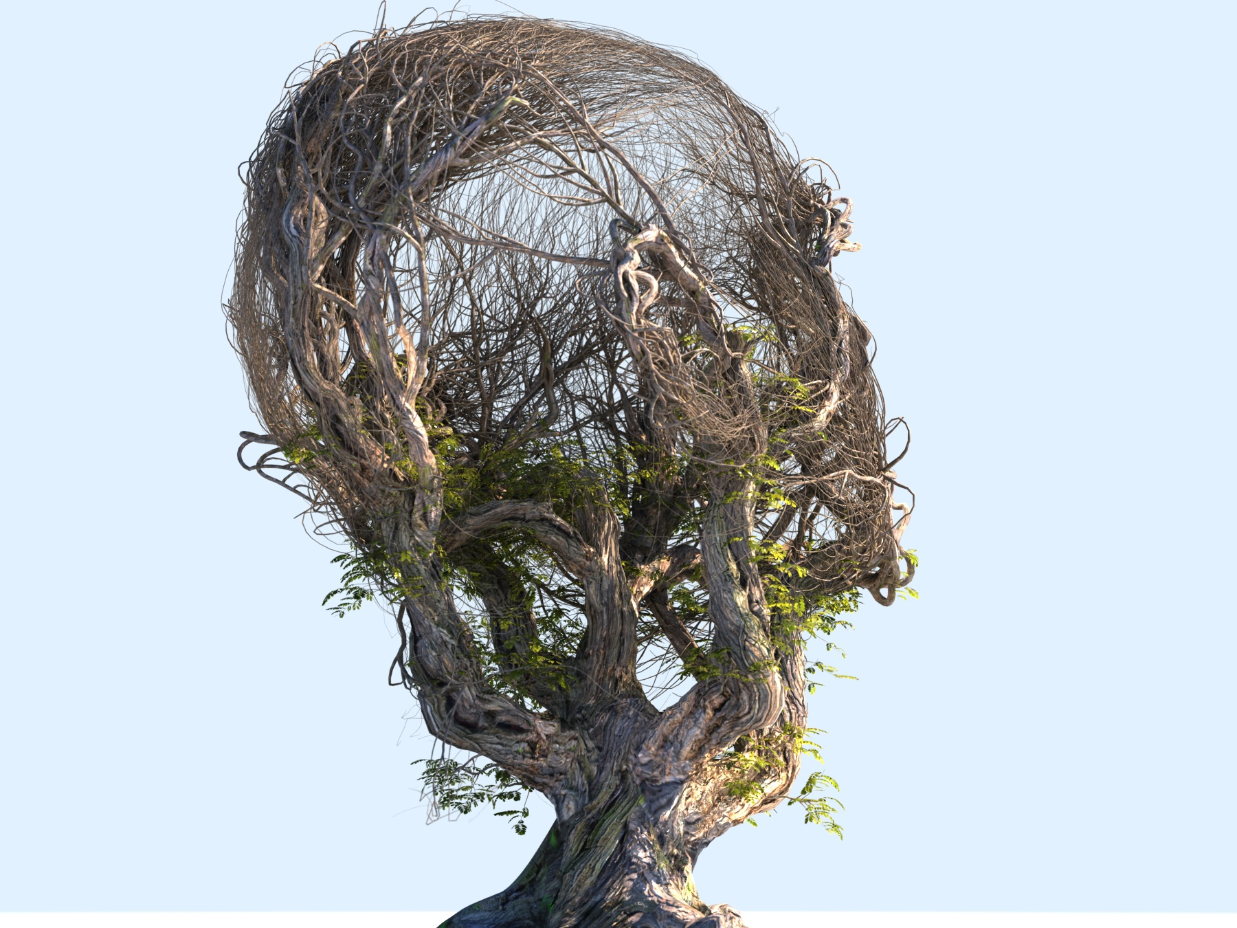 Tree head pack 10 3D model - TurboSquid 1287368