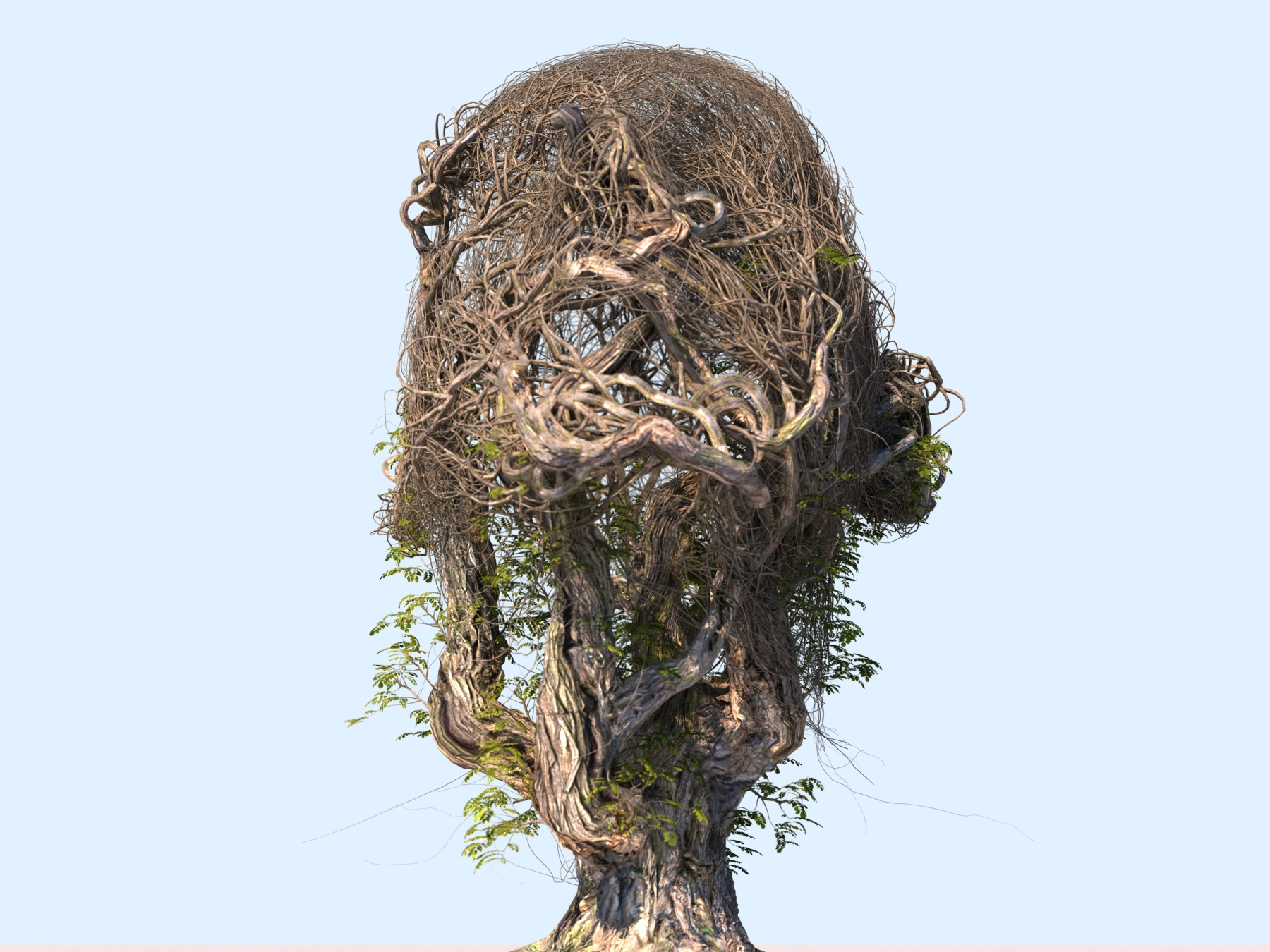 Tree head pack 10 3D model - TurboSquid 1287368
