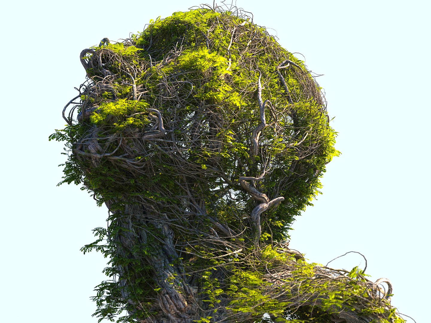 Tree Head Pack 10 3D Model - TurboSquid 1287368
