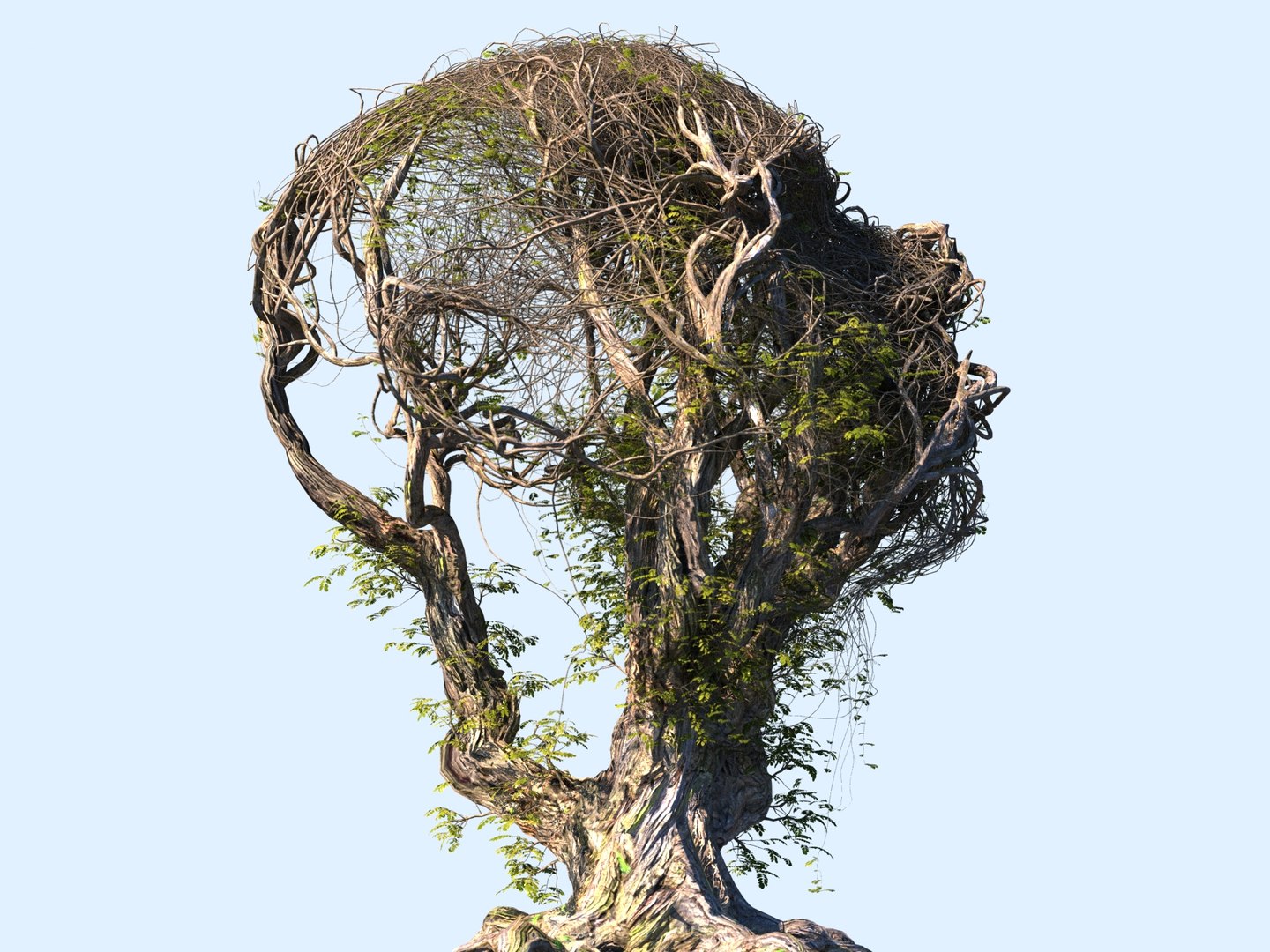 Tree Head Pack 10 3D Model - TurboSquid 1287368