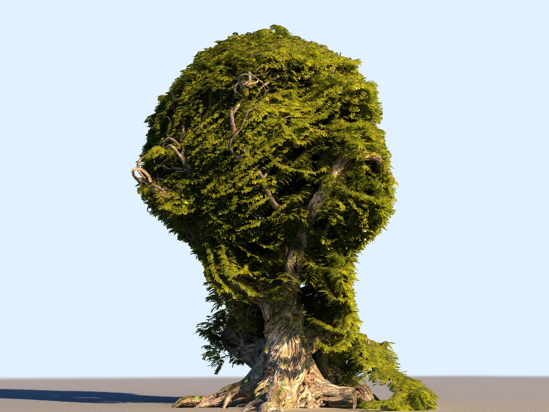 Tree head pack 10 3D model - TurboSquid 1287368